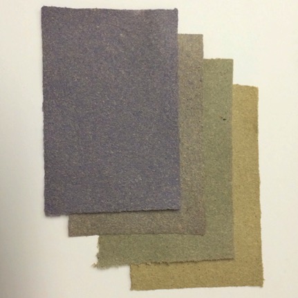 Guest Post: Joshua Strydom and the Making of Elephant Dung Paper | The ...